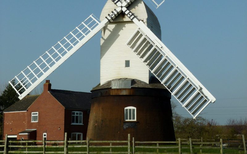 Fox Therapy Services near Scunthorpe | Counselling near Hull & Grimsby